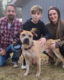 Adopted | PittieLove Rescue